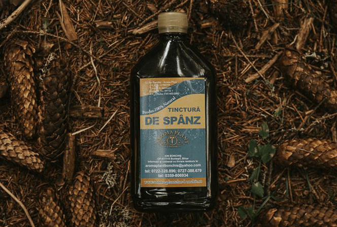 Spânzul | Helleborus – planta otrăvitoare care, în doze controlate, ne ...